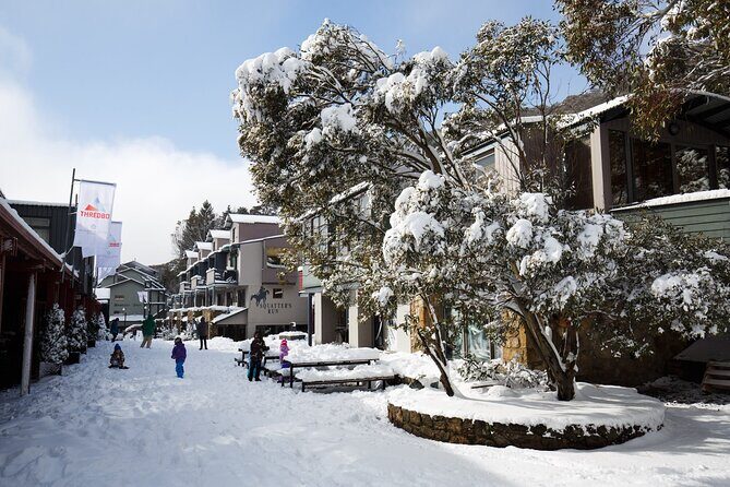 1 Day Thredbo Snow Tour From Sydney - Who Is This Tour Best Suited For?