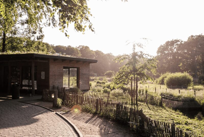 1-day ticket for Schwerin Zoo - Key Points