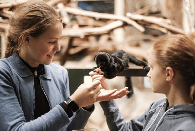 1-day ticket for Schwerin Zoo - Location and Setting