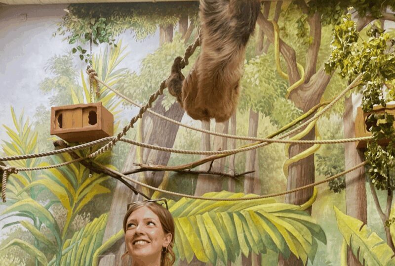 1-day ticket for Schwerin Zoo - Practical Tips for Visiting