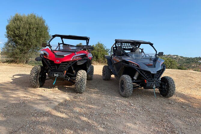 1 Day Tour - What to Expect from the Algarve Buggy Safari