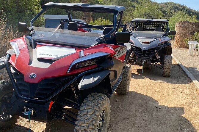 1 Day Tour - Authentic Experiences and Reviewer Insights