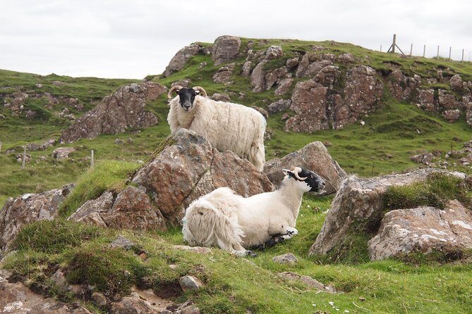 1 Day Tour from Inverness - Isle of Skye, Fairy Pools, and Eilean Donan Castle - FAQ