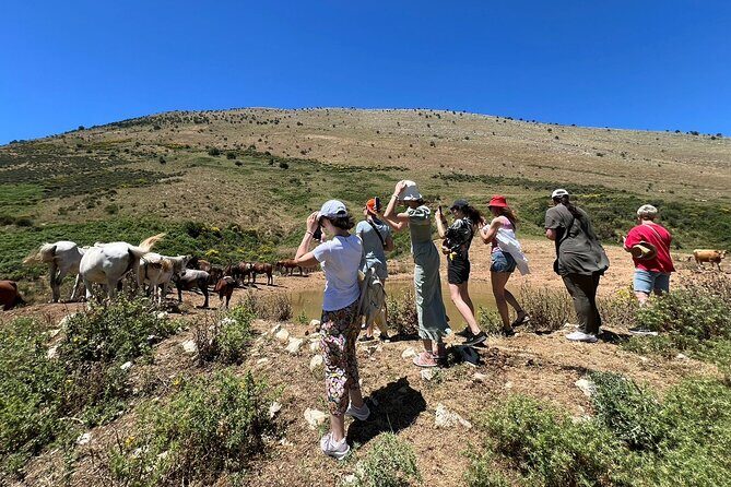 1-Day Tour in Blue Eye, Monastery, Gjirokaster and Lekursi Castle - What To Expect on the Day