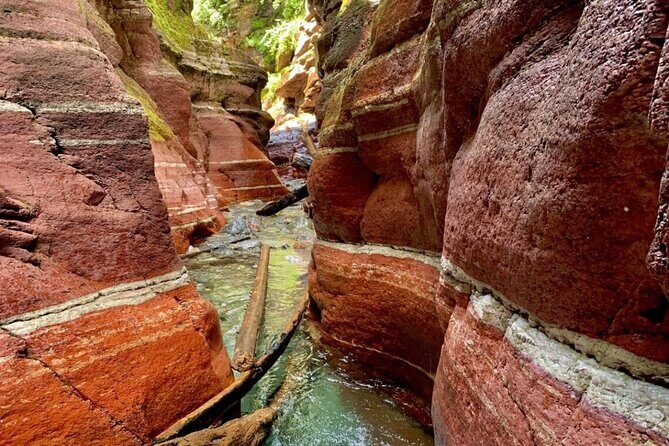 1 Day Waterton Lakes National Park Tour from Calgary - An In-Depth Look at the Itinerary