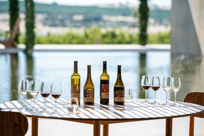 1 Day Wine Tour Around Évora - Exploring the 1 Day Wine Tour Around Évora: A Detailed Review