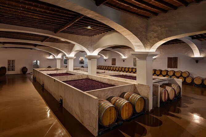 1 Day Wine Tour Around Évora - Who Is This Tour Best For?