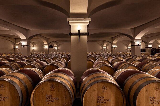 1 Day Wine Tour Around Évora - The Sum Up: Is It Worth It?