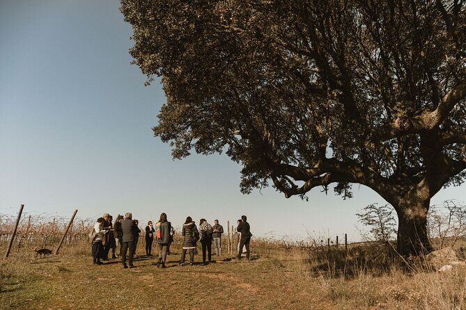 1 Day Wine Tour Around Évora - FAQ