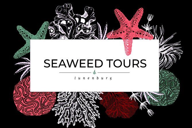 1 Hour Blue Rocks Excursions from Lunenburg - Pricing and Value