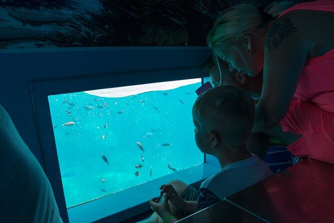 1-hour boat trip around the Port of Mahón - Who Will Love This Tour?