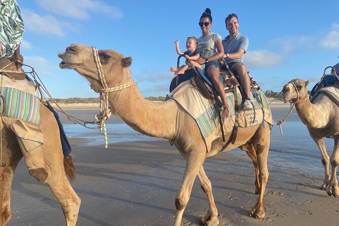 1 Hour Broome Sunset Camel Tour - An Authentic Sunset Camel Ride on Broome’s Iconic Cable Beach