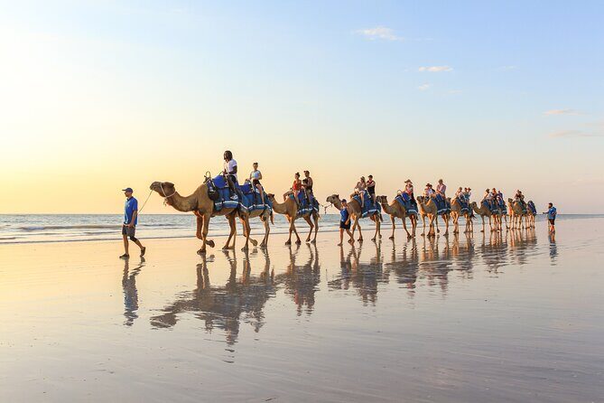 1 Hour Broome Sunset Camel Tour - Final Thoughts