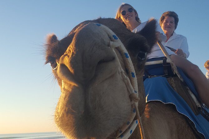 1 Hour Broome Sunset Camel Tour - FAQ