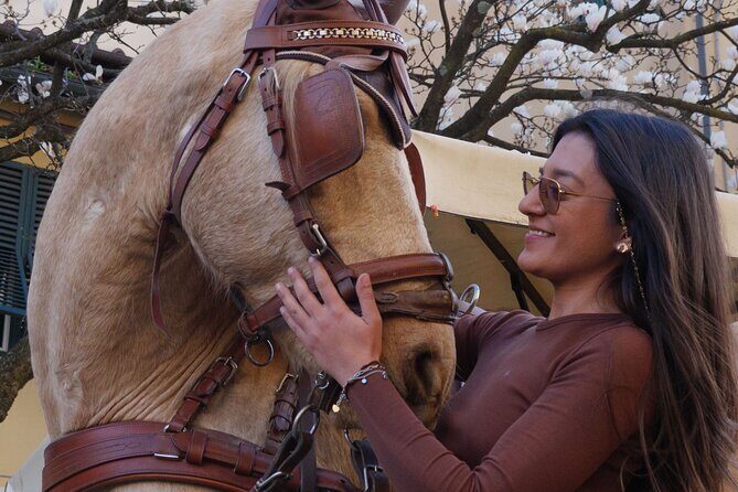 1-Hour Carriage Tour  Historic Center and Renaissance Walls - Key Points