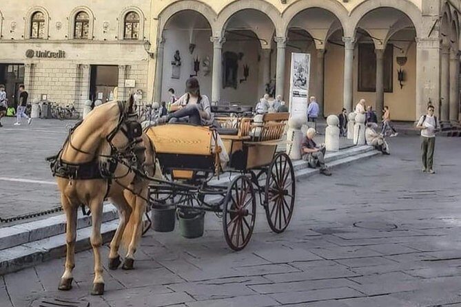 1-Hour Carriage Tour  Historic Center and Renaissance Walls - A Closer Look at the Lucca Carriage Tour