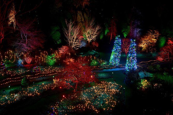 1 hour City Tour & Butchart Gardens: Christmas - Entry included! - Key Points