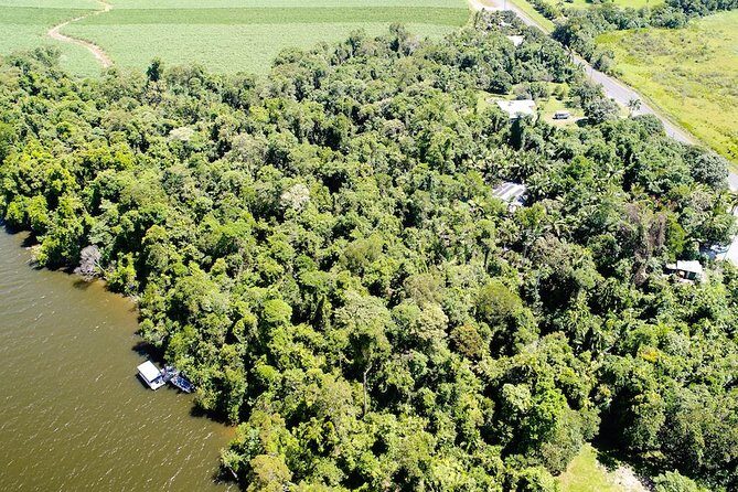 1-Hour Daintree River wildlife cruise - What Travelers Are Saying