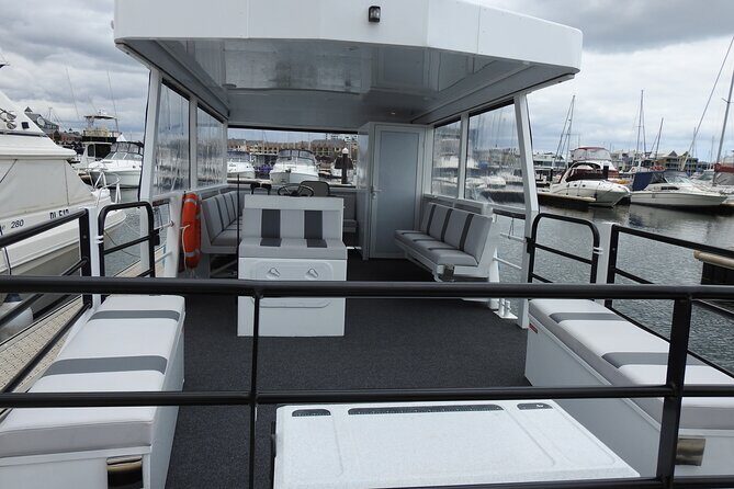 1 Hour Deluxe Scenic Dolphin Cruise - Final Thoughts