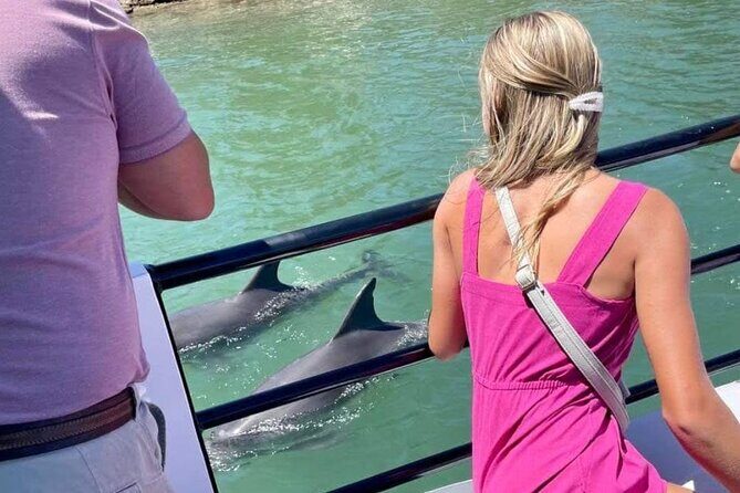 1 Hour Deluxe Scenic Dolphin Cruise - FAQ