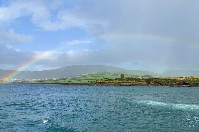 1 hour Dingle Bay Cliff Tour - Who Will Love This Tour?