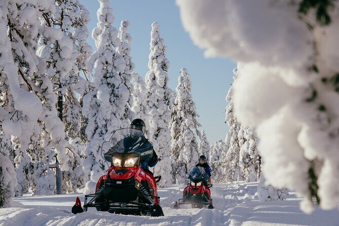 1 Hour Easy Snowmobile Safari in Levi - The Authentic Experience and Review Insights