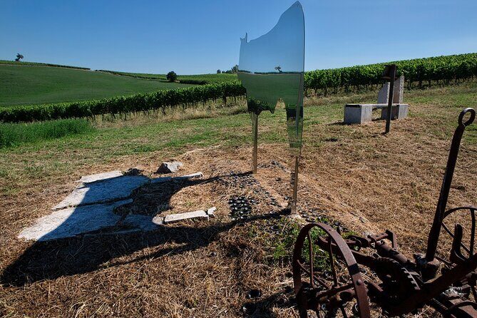 1-Hour Experience with Brunello. Visit to the Vineyard and Cellar - The Itinerary: A Closer Look at What’s Included