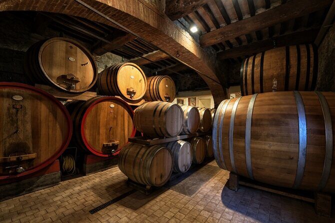1-Hour Experience with Brunello. Visit to the Vineyard and Cellar - The Sum Up