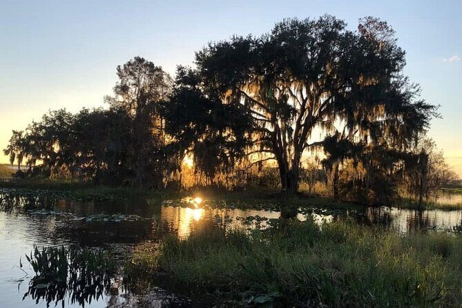 1 Hour Florida Everglades Wildlife Tour - Who Is This Tour For?