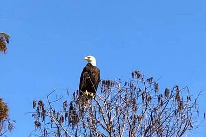 1 Hour Florida Everglades Wildlife Tour - FAQs