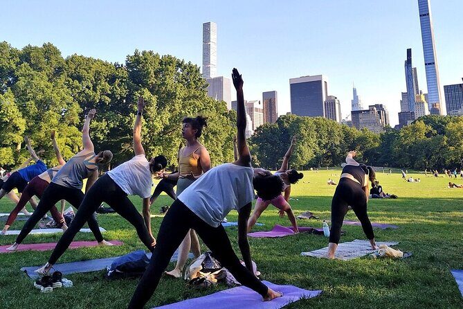 1 Hour Group Yoga Class in Central Park - The Experience: Pros and Cons