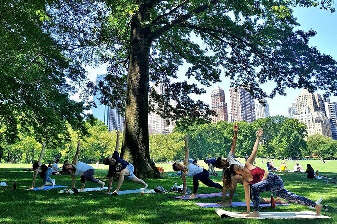 1 Hour Group Yoga Class in Central Park - Who Will Love This Experience?