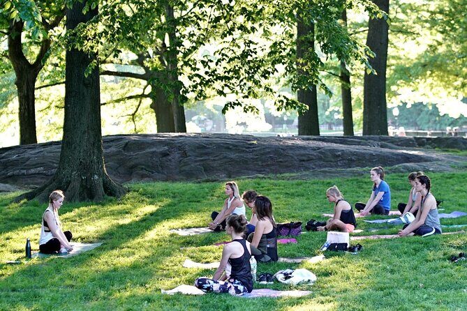 1 Hour Group Yoga Class in Central Park - Practical Tips for Booking and Attending