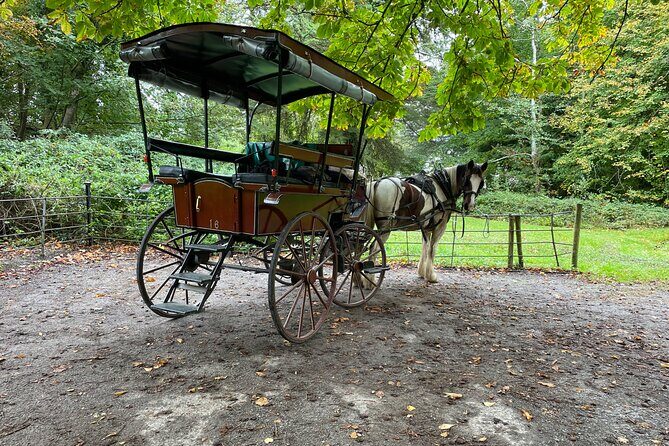 1 Hour Guided Carriage Tour in Killarney National Park - What’s Included and How It Works