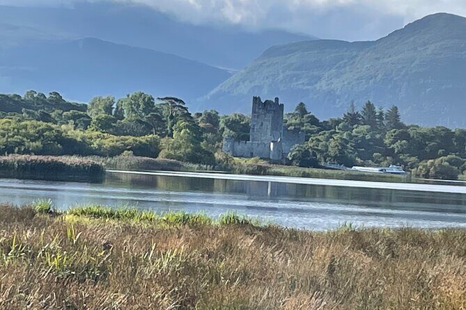 1 Hour Guided Carriage Tour in Killarney National Park - The Highlights and Unique Features