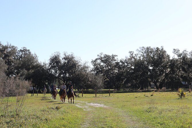 1 Hour Guided Horseback Trail Ride Rock Springs Run State Reserve - Authentic Insights from Reviewers