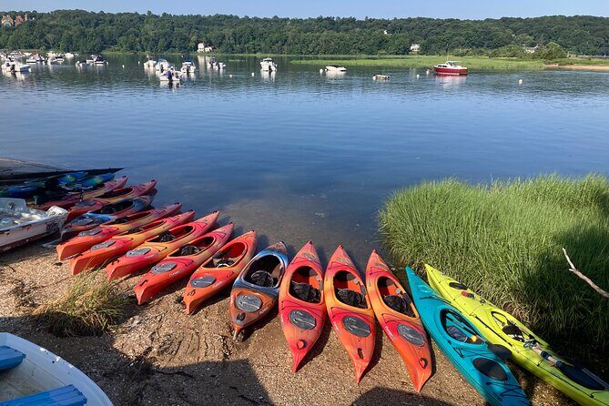 1 Hour Guided Kayak Tour in Cold Spring Harbor NY - The Cost and Value