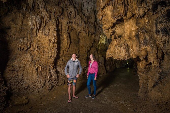 1-Hour Guided Tour of Aranui Cave Waitomo - The Itinerary Breakdown