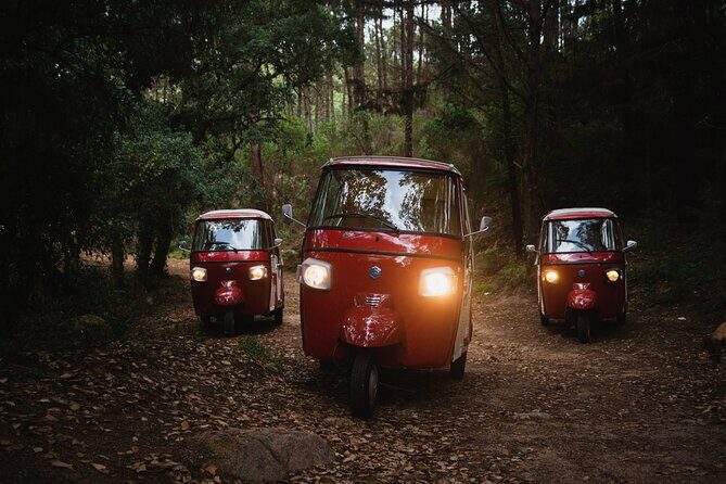 1-Hour Guided Tuk-Tuk Tour in Sintra - Why This Tour Is a Great Fit  
