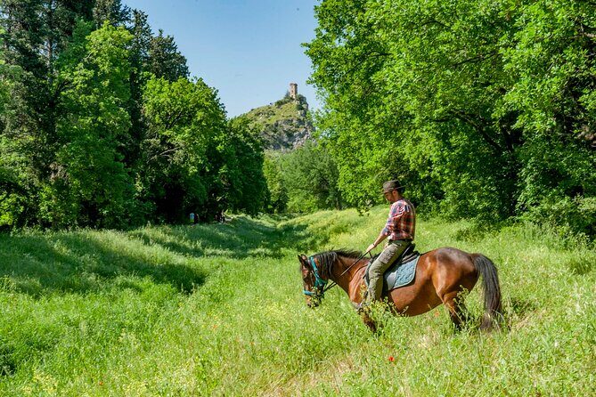 1 hour horseback ride in Valgraziosa Pisa - The Sum Up: Who Should Book This Tour?