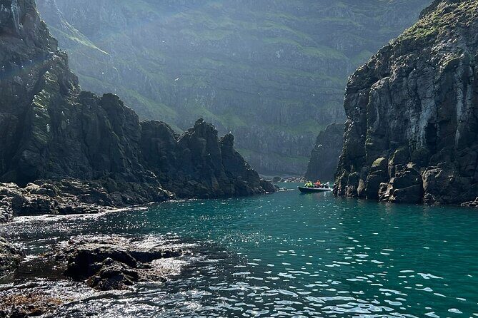 1 Hour Iceland Nature and Wildlife RIB Small Group Guided Safari - Why This Tour Is Worth Considering