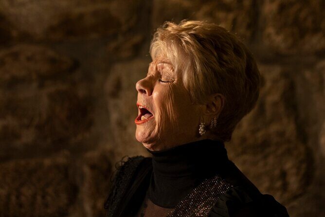 1-hour Intimate Fado Concert in a Typical Venue - The Downsides: What to Consider