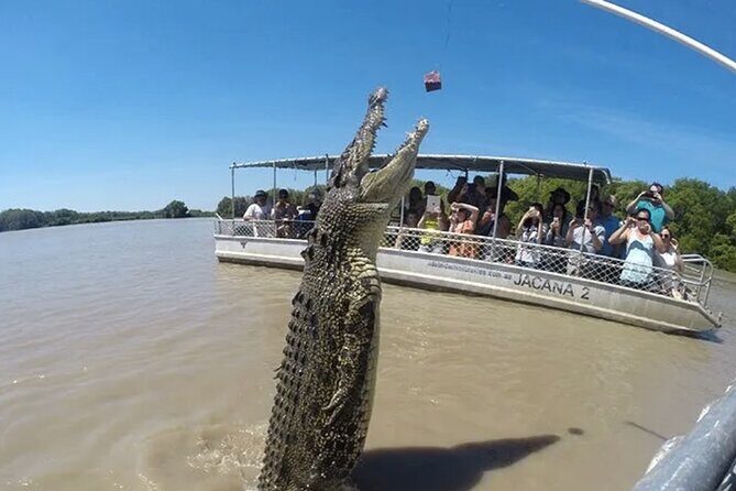 1 Hour Jumping Crocodile Cruise on the Adelaide River - Authentic Insights from Travelers