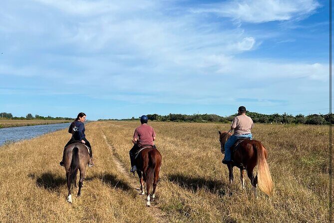 1 hour of ATV + 1 hour horse ride-- free videos and pictures - Authentic Insights from Reviews