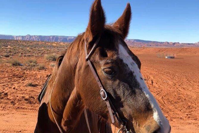 1-Hour Page Horseshoe Bend Trail Ride - FAQs