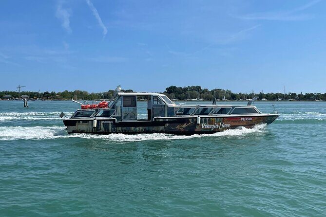 1-hour panoramic tour of Venice by boat - Who Should Consider This Tour?