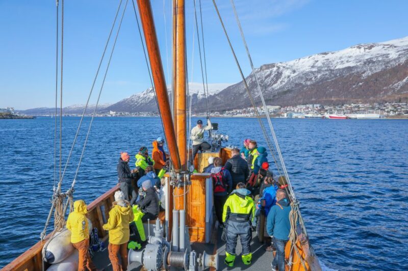 1 Hour Photo & History Cruise - Who Is This Tour Best For?