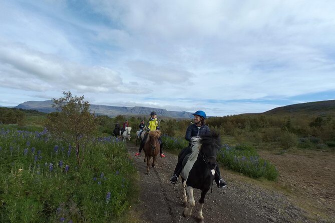 1+ hour Private Horse riding tour from Reykjavík/Mosfellsbær - What to Expect from the Tour