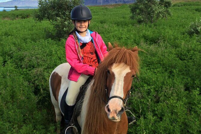 1+ hour Private Horse riding tour from Reykjavík/Mosfellsbær - Who Should Consider This Tour