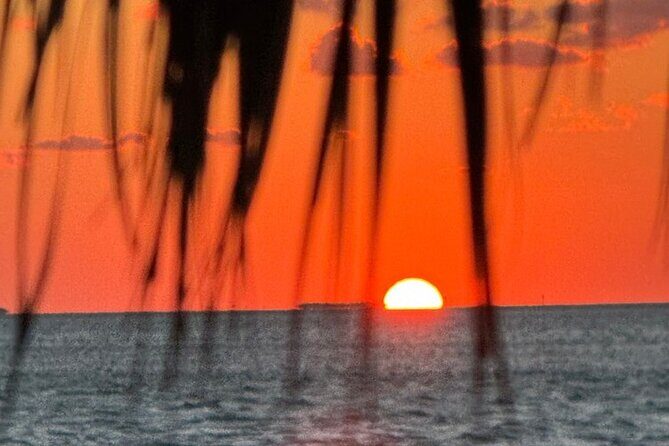 1 Hour Private Sunset Charter Islamorada Florida - Who This Tour Is Best For